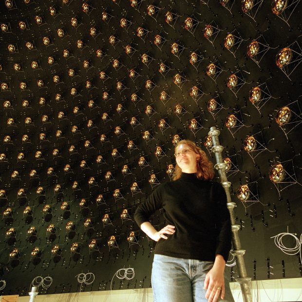 New neutrino experiment at Fermilab goes live