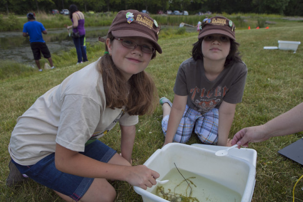 Bison, birds and bugs at Fermilab’s Family Outdoor Fair on June 8