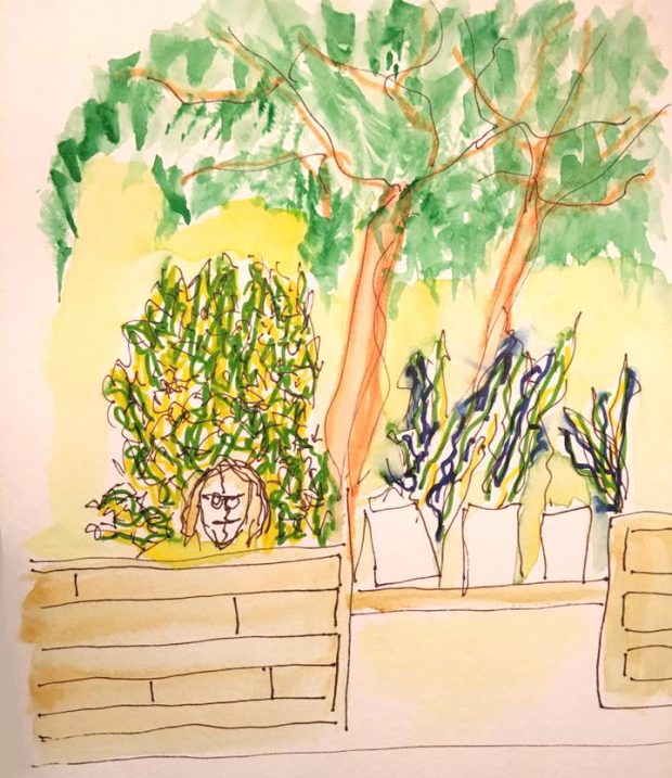 Rich Matheson - Plants in the Wilson Hall atrium