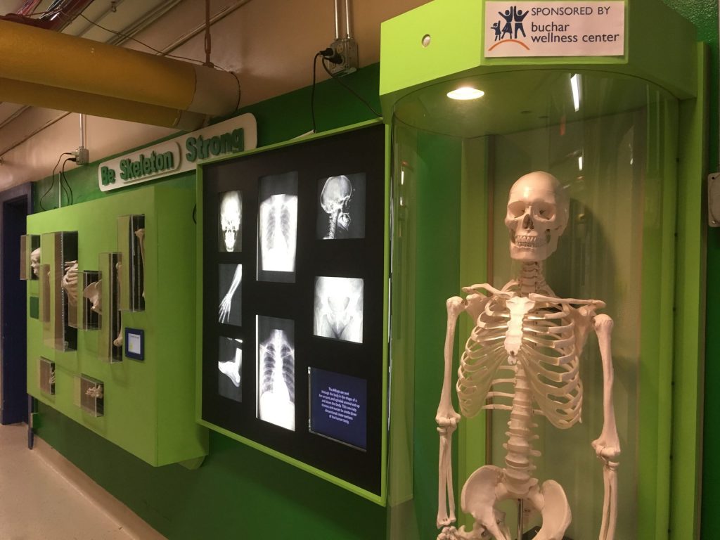 SciTech celebrates 30 years of scientific exploration