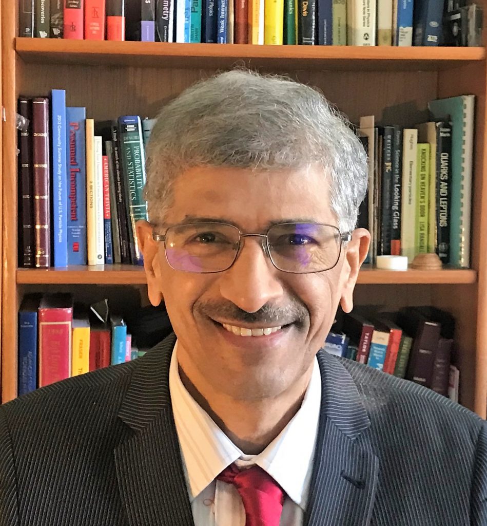 Bernstein, Bhat elected 2021 AAAS fellows