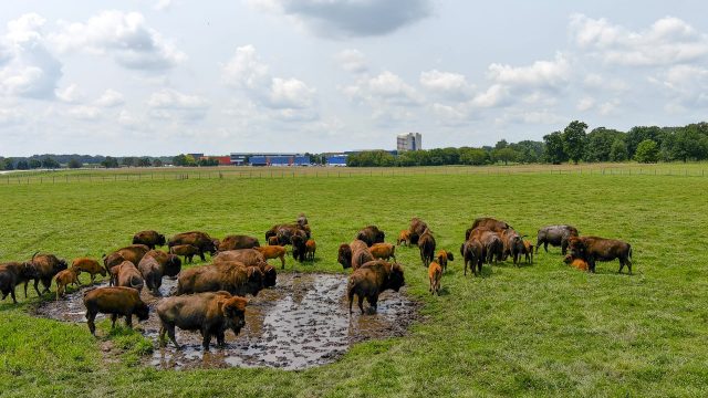 Fermilab site reopens to the public, welcomes visitors