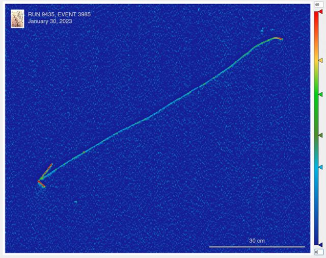 ICARUS experiment marks major milestone in first neutrino science results